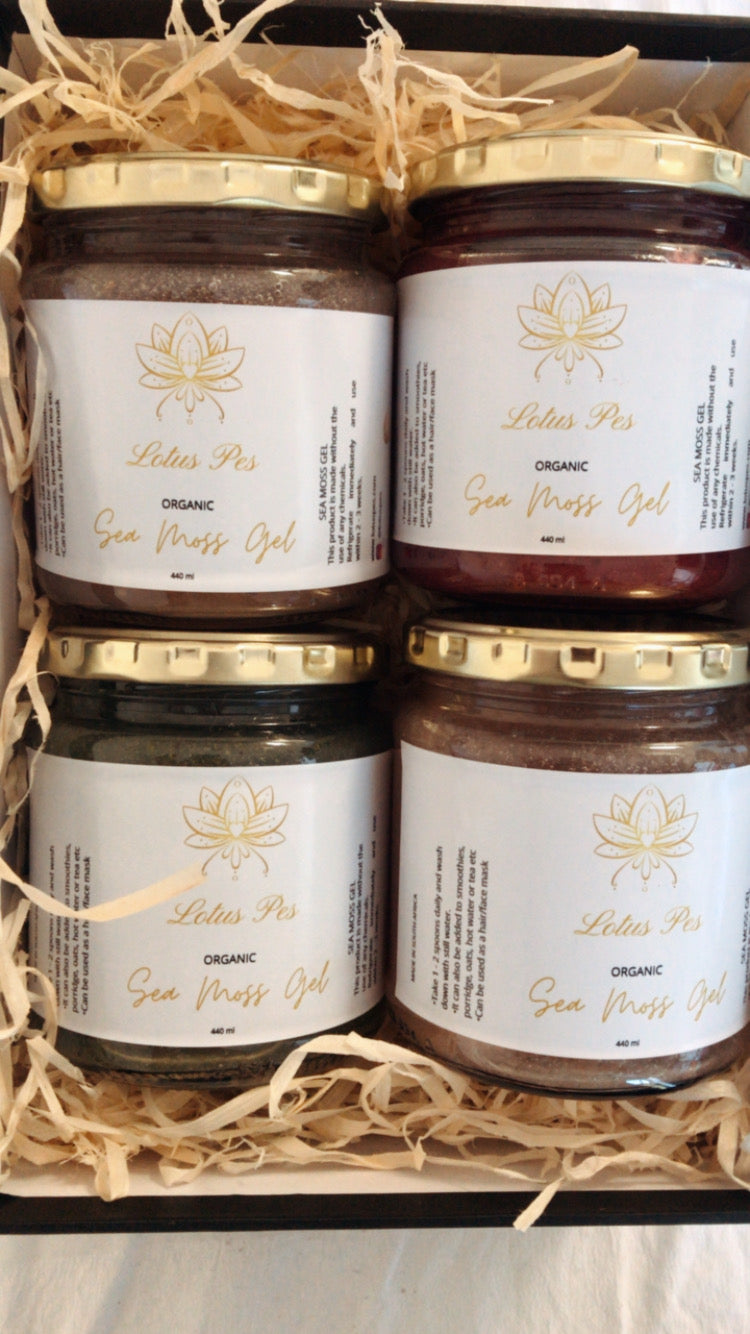 Sea Moss – Lotus Pēs