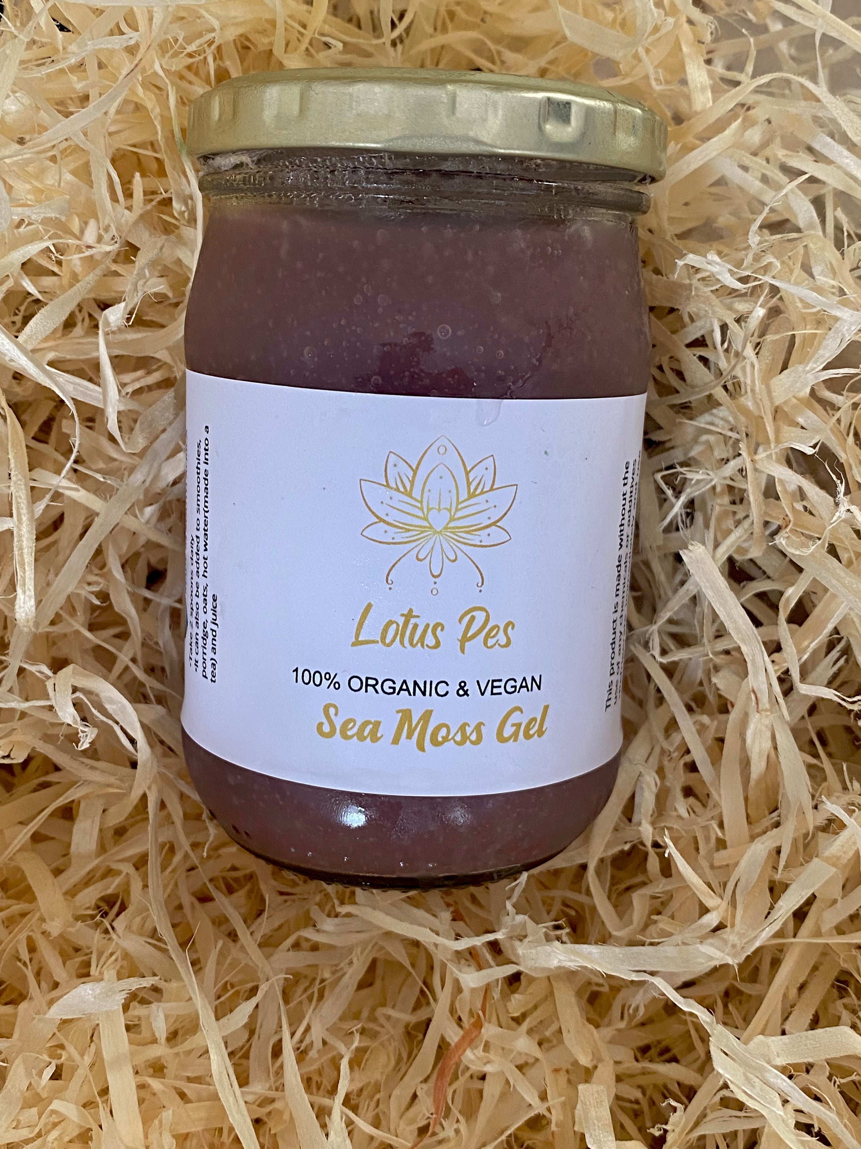 Plain Sea Moss Gel – Lotus Pēs